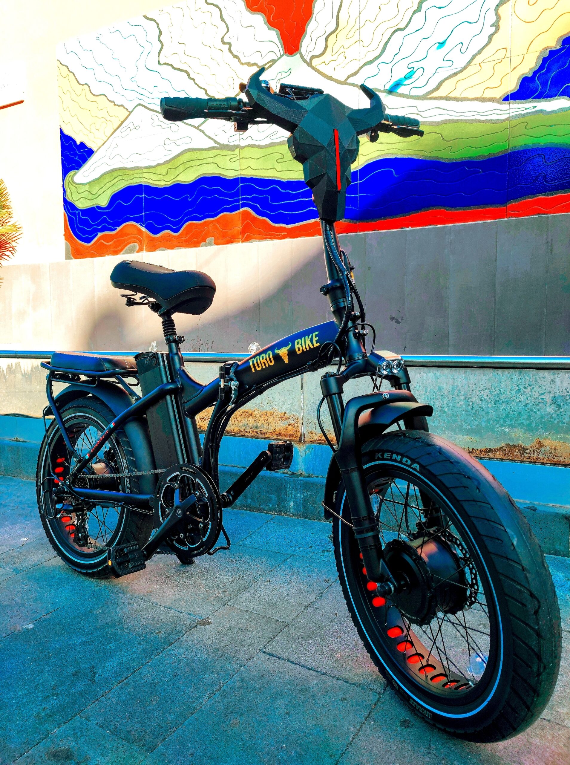 Home page - Toro Bike